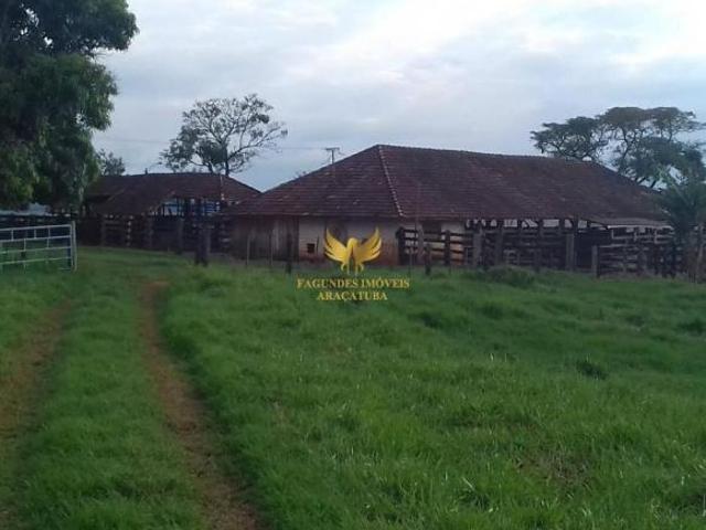 FAZENDA 213 ALQUEIRES INOCENCIA MS