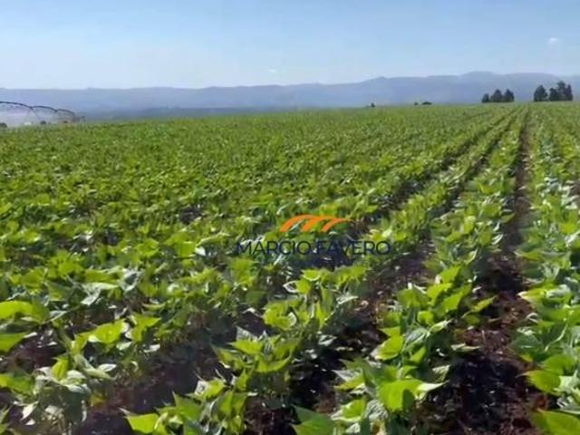 Fazenda