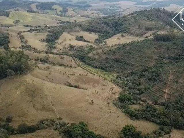 Fazenda 2129hectares 50km de Poços de Caldas/MG divisa com SP Pastagem, cana de açúcar casa cu