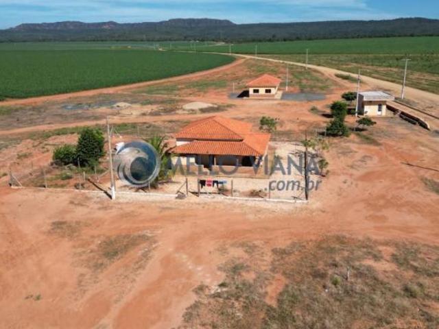 FAZENDA 2152 HECTARES AS MARGENS DO RIO SÃO FRANCISCO