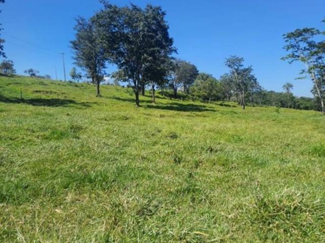 Fazenda