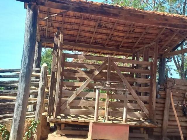 FAZENDA 2216 HA EM JAIBA NORTE DE MINAS