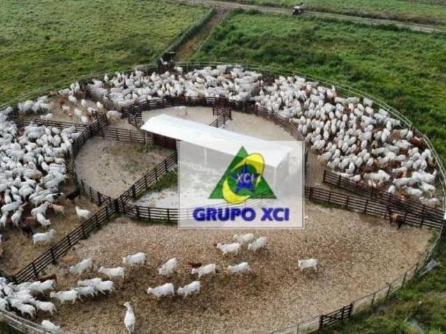 Fazenda