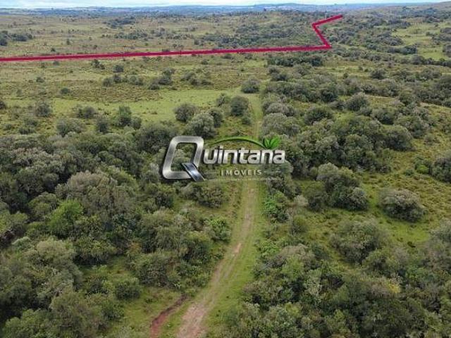Fazenda 225 Hectares Pinheiro Machado RS R$15.000/ha