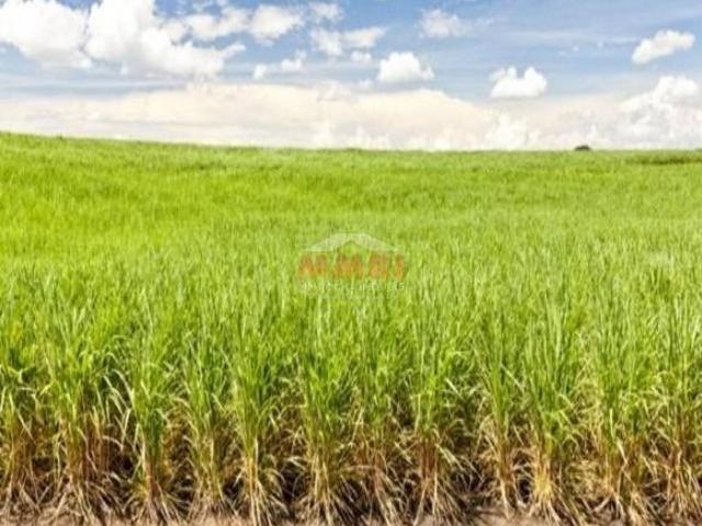 Fazenda