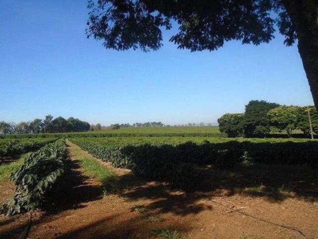 Fazenda para venda em Centro, Piumhi