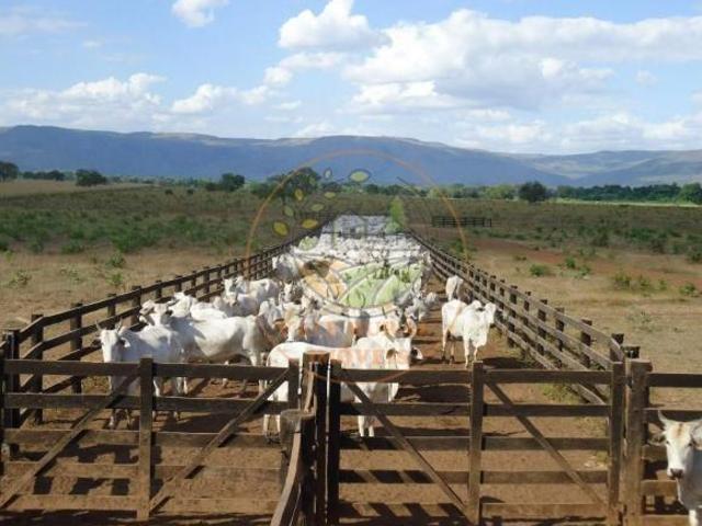 Fazenda