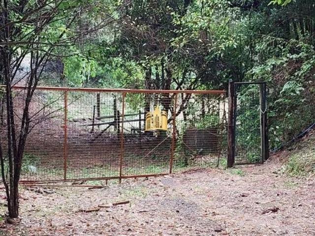 FAZENDA 230.000M² EM CONDOMÍNIO MATOZINHOS