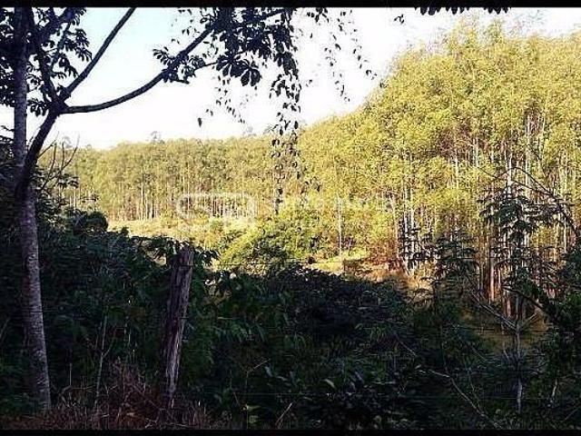 Fazenda