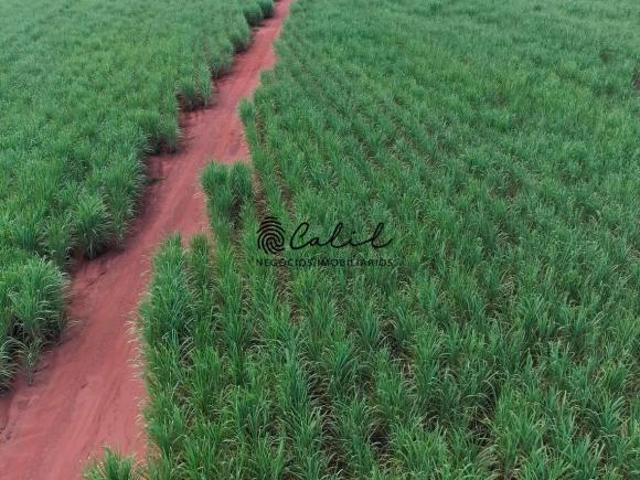 Fazenda