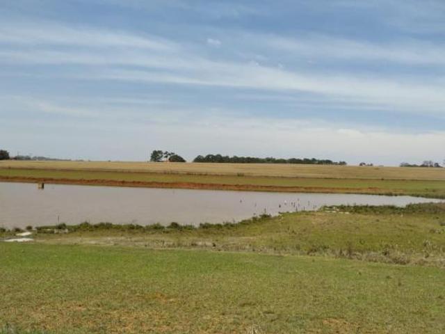 Fazenda