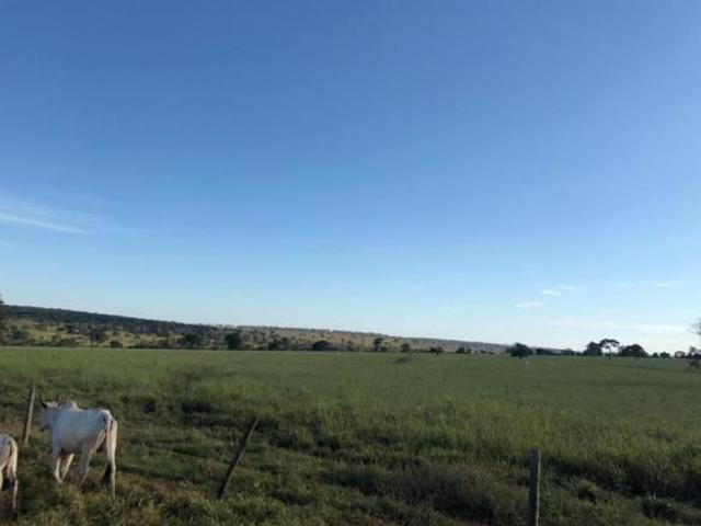 Fazenda