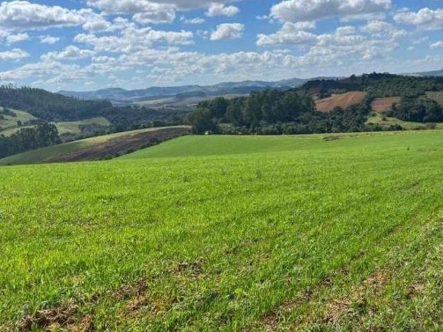 Fazenda