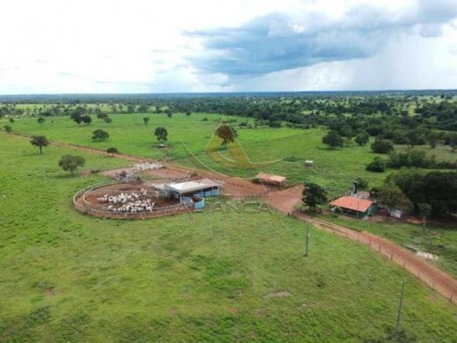 Fazenda