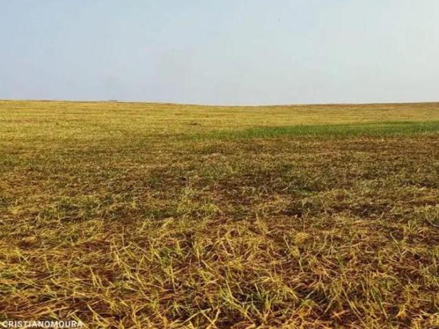 Fazenda 2.100 há localizada no município de Pirapora/MG