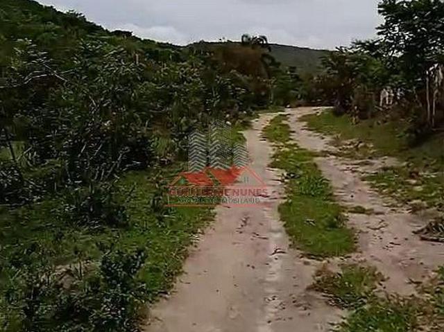 Fazenda 2.200 ha em Pedra Azul MG: Ideal para Café Arábica