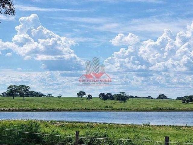 Fazenda 2.543 ha em Serranópolis GO | Ideal para Eucalipto