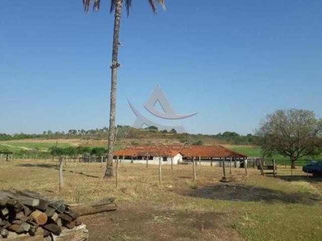 Fazenda