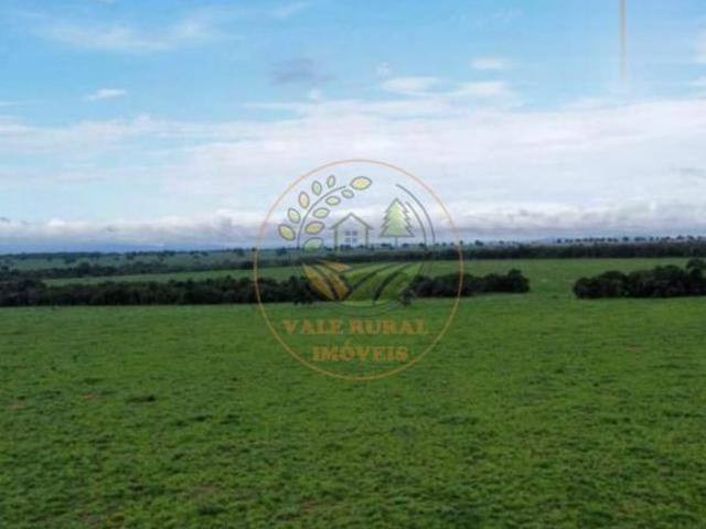 Fazenda