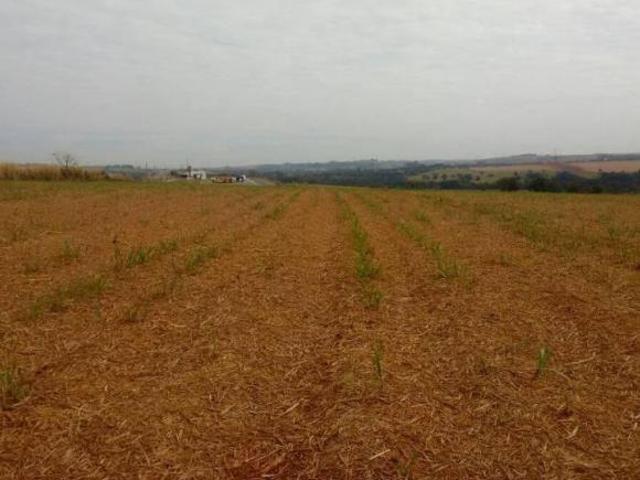 Fazenda