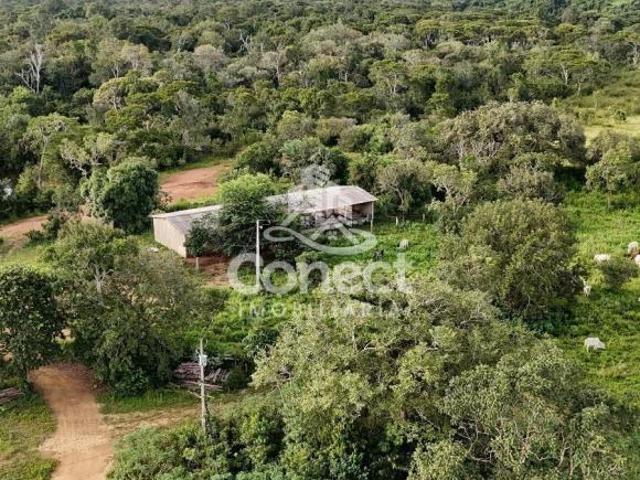 Fazenda