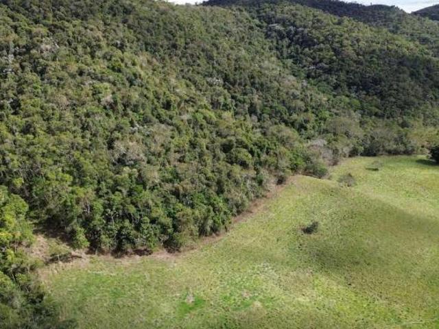 Fazenda para venda em Centro, Natividade da Serra