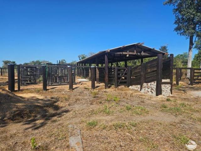 Fazenda