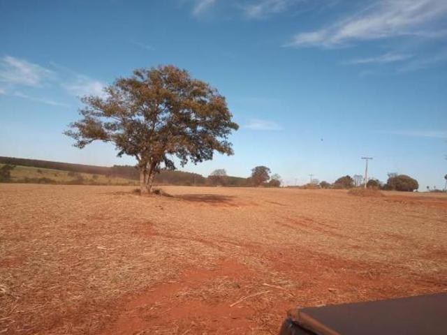 Fazenda