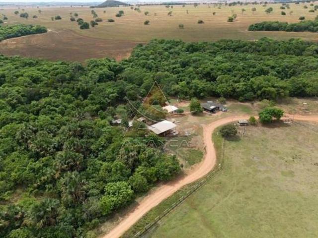 Fazenda