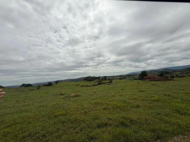 Fazenda