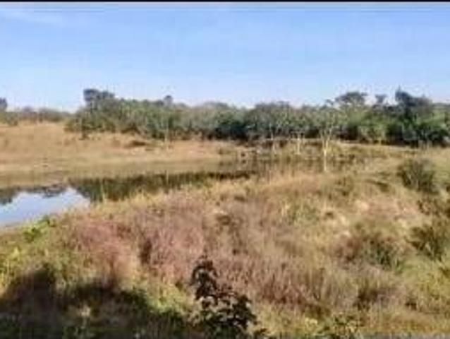 Fazenda
