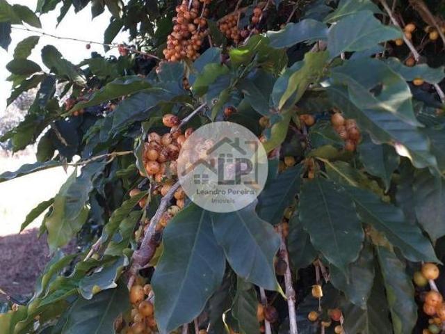 Fazenda para venda em Centro, Rio Paranaíba