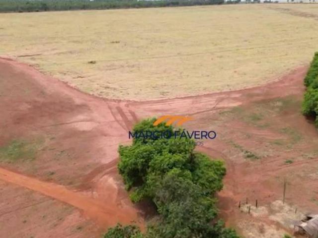 Fazenda