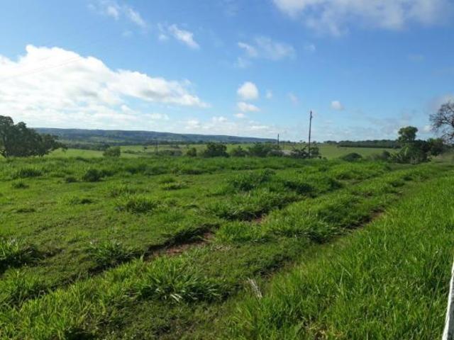 Fazenda