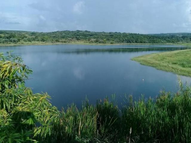 Fazenda