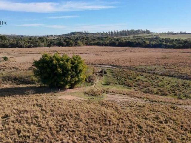 Fazenda