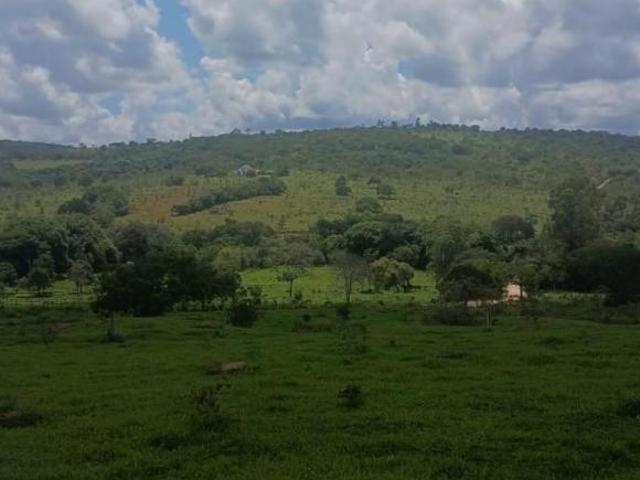 Fazenda