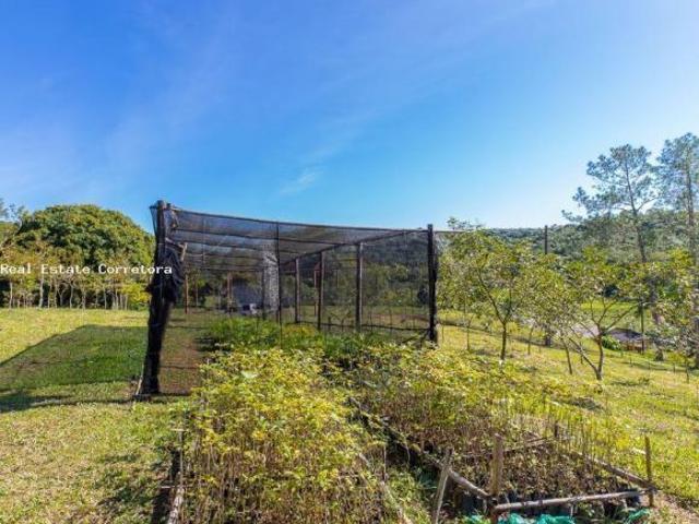 Fazenda para venda em Jacupiranga