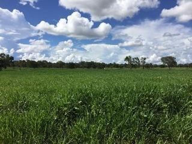 Fazenda