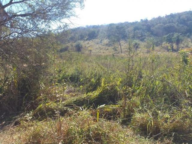 Fazenda