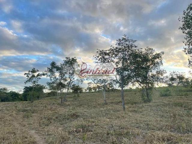 Fazenda