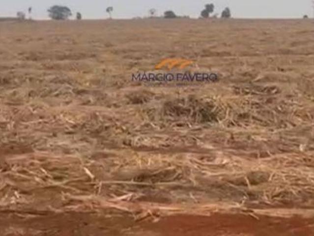 Fazenda