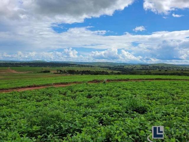 Fazenda