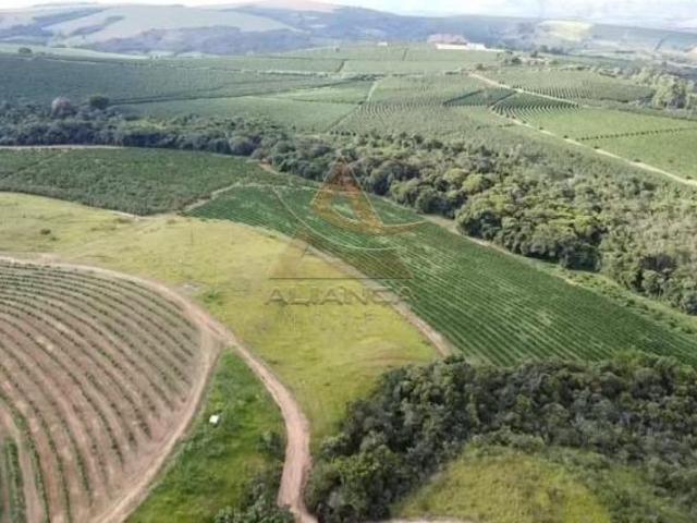 Fazenda
