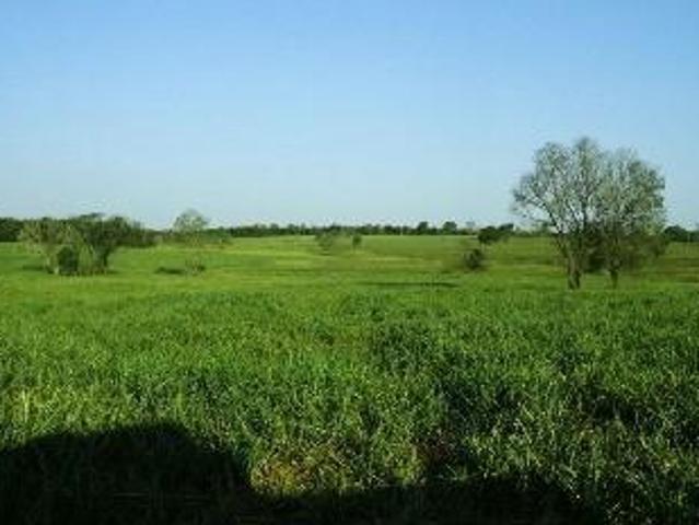 Fazenda
