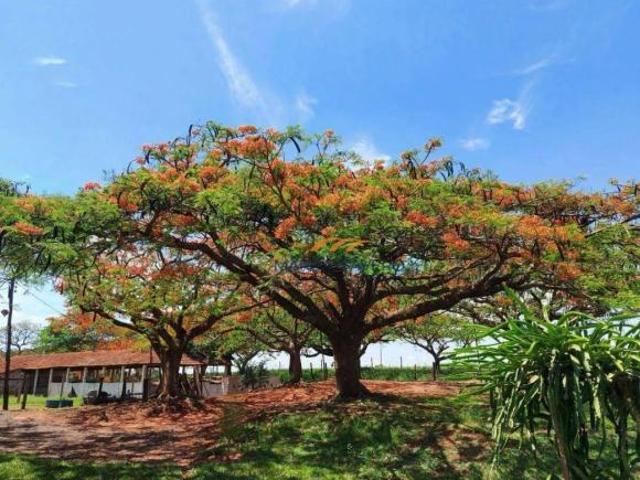 Fazenda