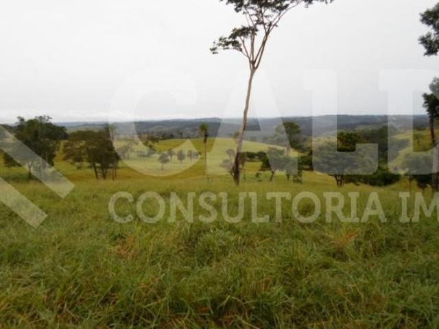 Fazenda