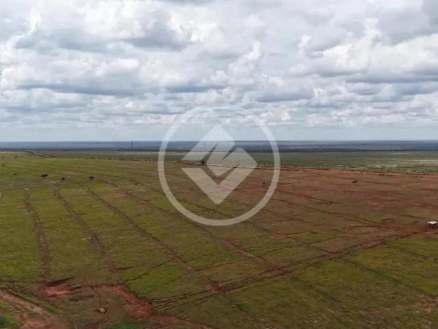 FAZENDA 3850 HECT PARA PECUÁRIA A VENDA NOVA LACERDA MT PROXÍMO A CONQUISTA D&apos OESTE MT VALOR R$60