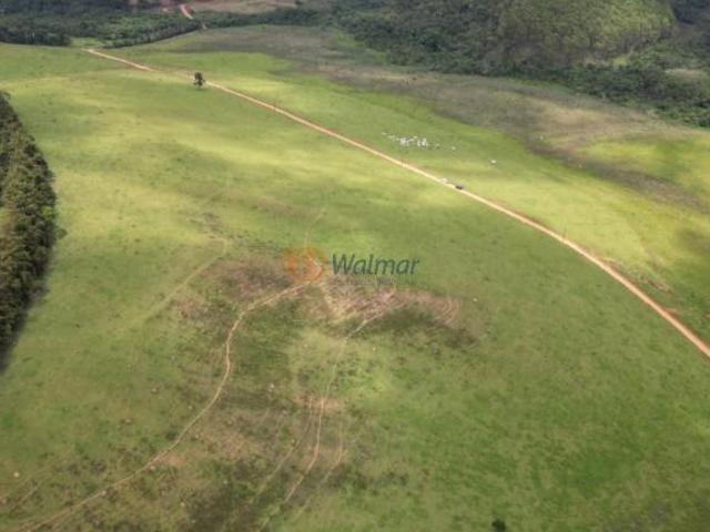 Fazenda