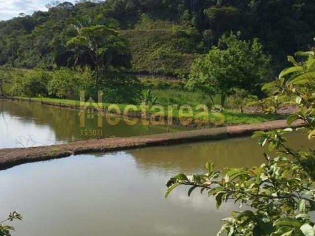 Fazenda